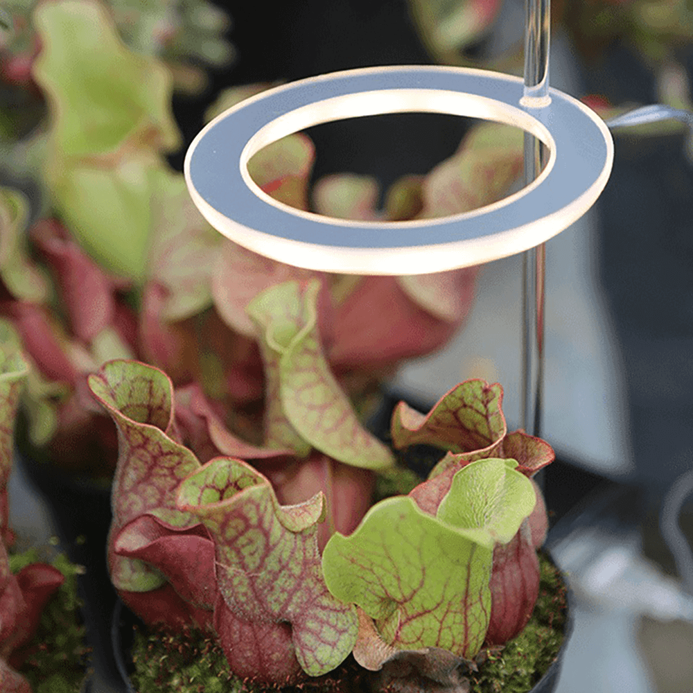 Grow Lights For Giving Plants Blooming Life | Inspire Uplift