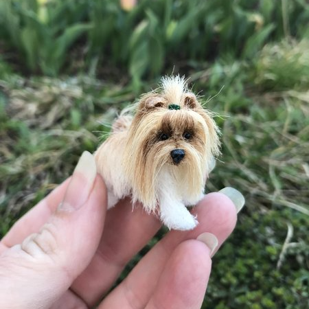 Small realistic Yorkie | Inspire Uplift