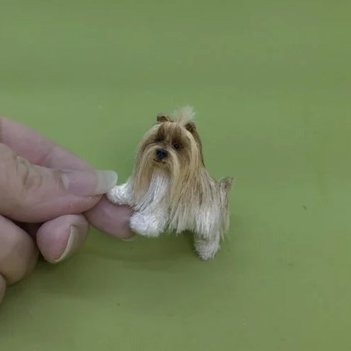 Small realistic Yorkie - Inspire Uplift