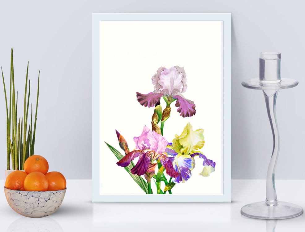 Poster Bouquet with three colored irises, flowers for gift | Inspire Uplift