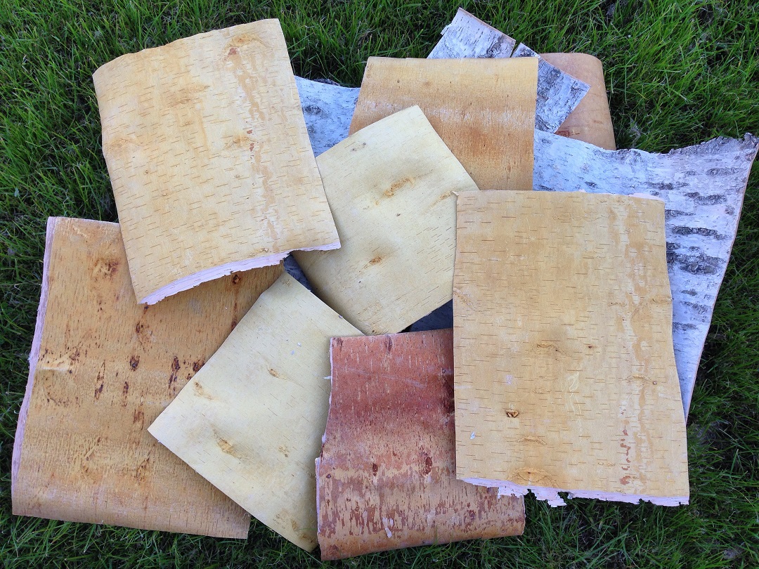 Birch bark sheets | Inspire Uplift