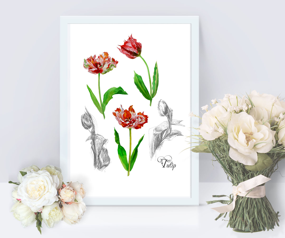 Interior Poster with Tulips Flowers for Gift, botanical, pla | Inspire ...