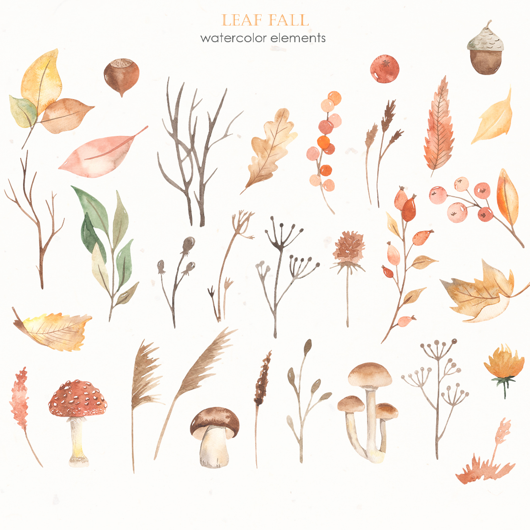 Autumn leaves falling watercolor clipart. Leaves, branches, - Inspire ...