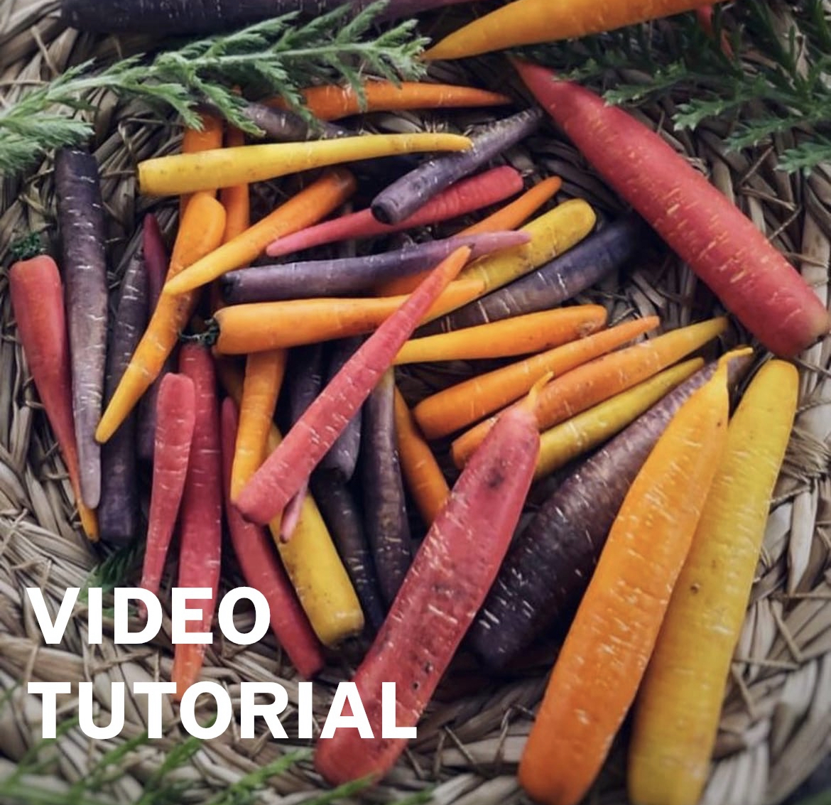 Miniature carrots. TUTORIAL. VIDEO, pattern. Mini vegetables | Inspire ...