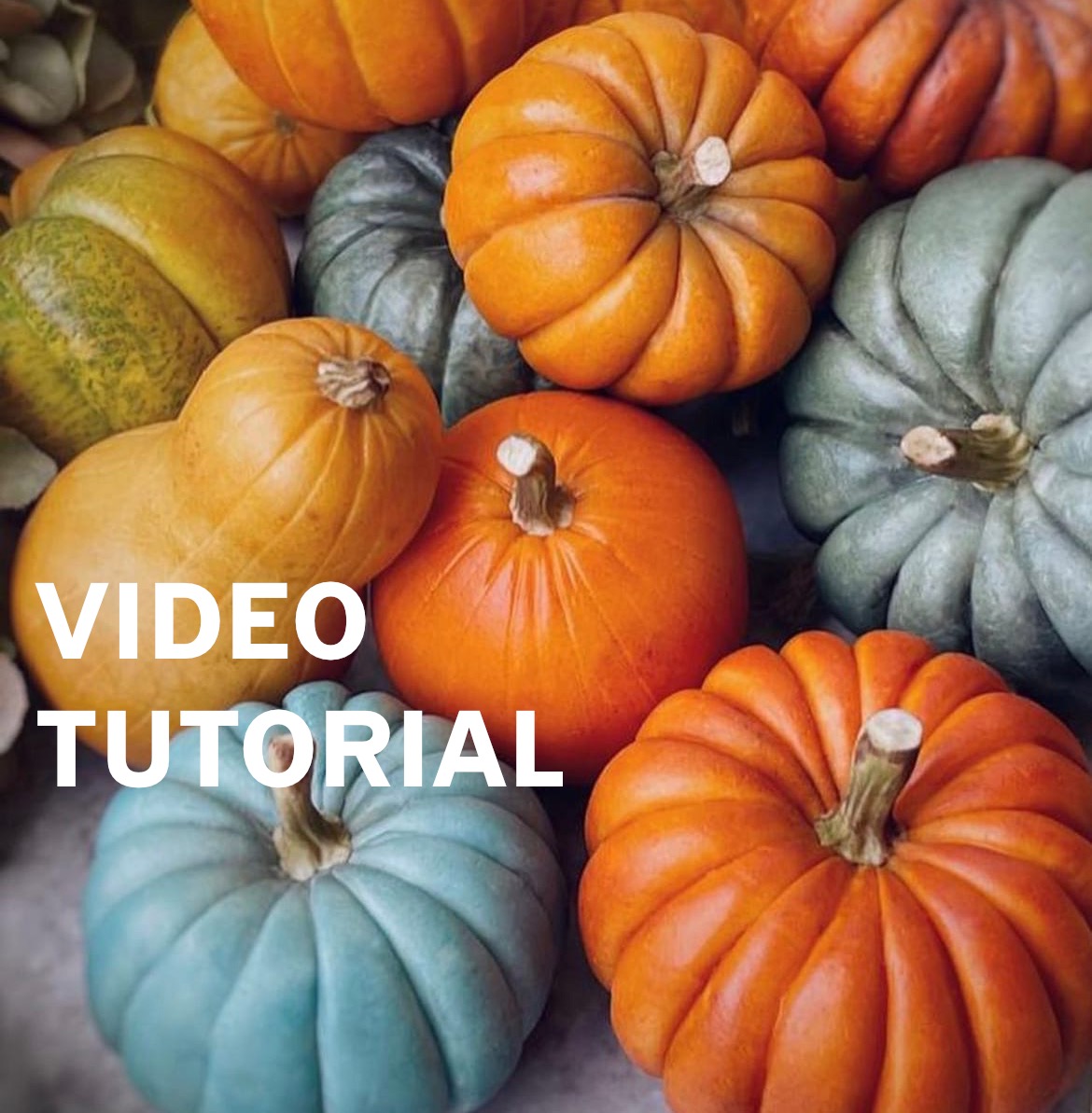 Miniature pumpkins. TUTORIAL polymer clay. VIDEO, pattern. D - Inspire Uplift