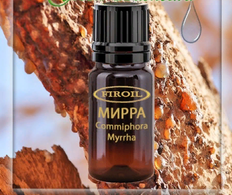 COMMIPHORA MYRRHA NATURAL ESSENTIAL OIL 50 ml ( 1.69 oz) | Inspire Uplift