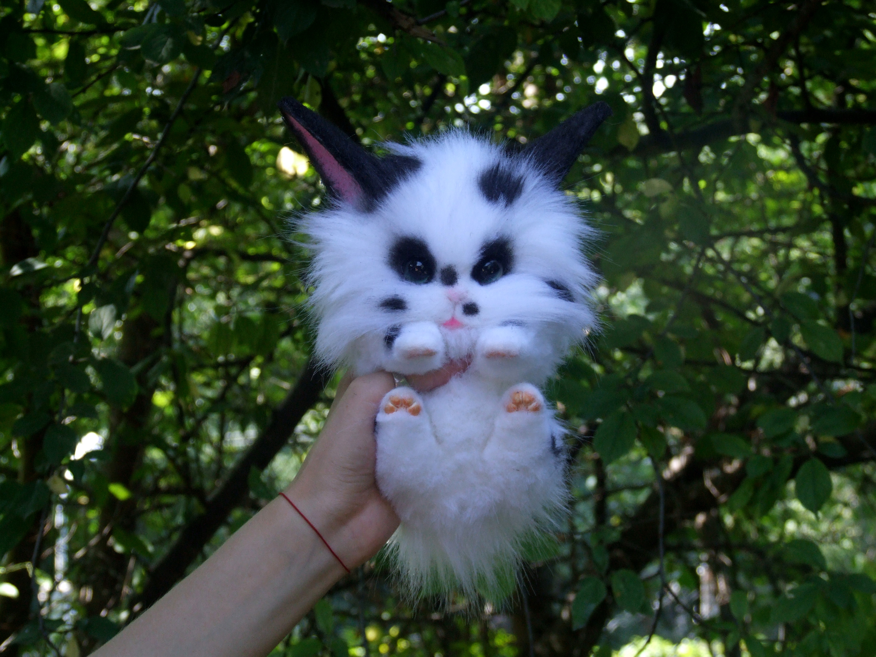 Rabbit | Inspire Uplift