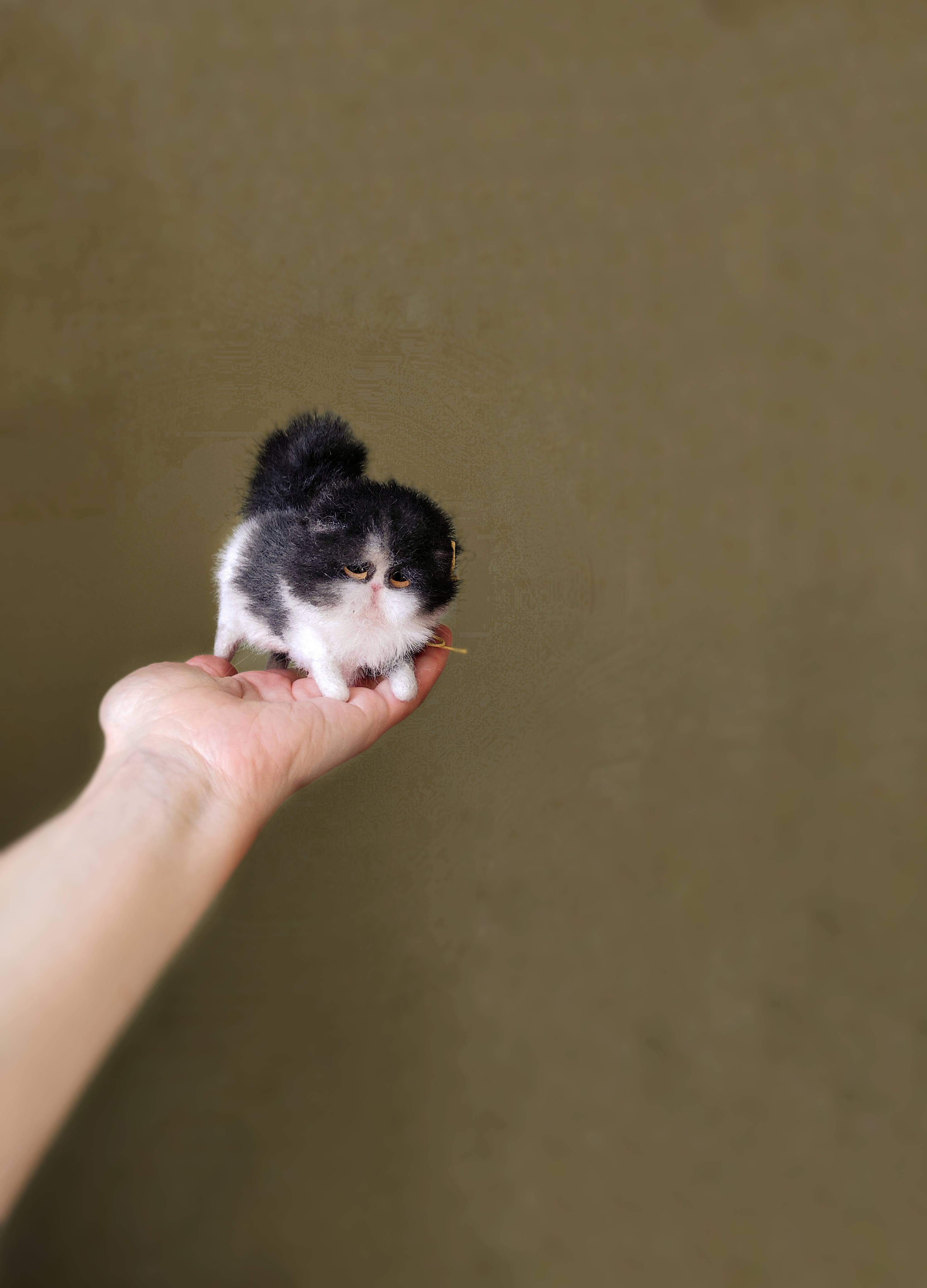 Poseable Cat Doll - Inspire Uplift