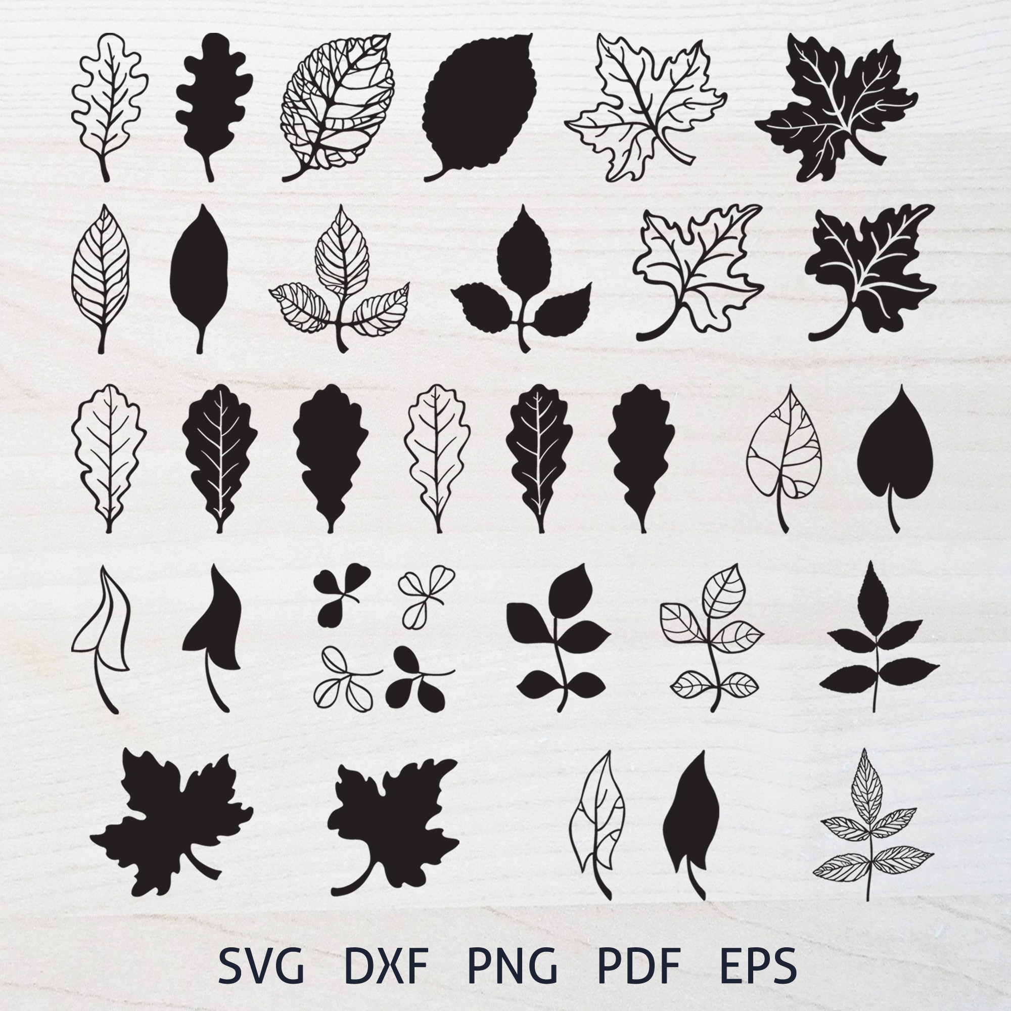Fall Leaves, Cutting SVG Bundle, Autumn Leaves Clipart | Inspire Uplift