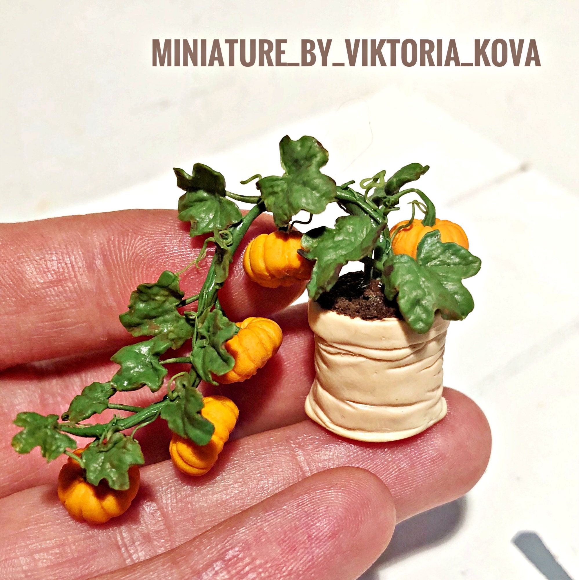 Dollhouse miniature 1:12 Little bush of pumpkins! absolutely | Inspire ...