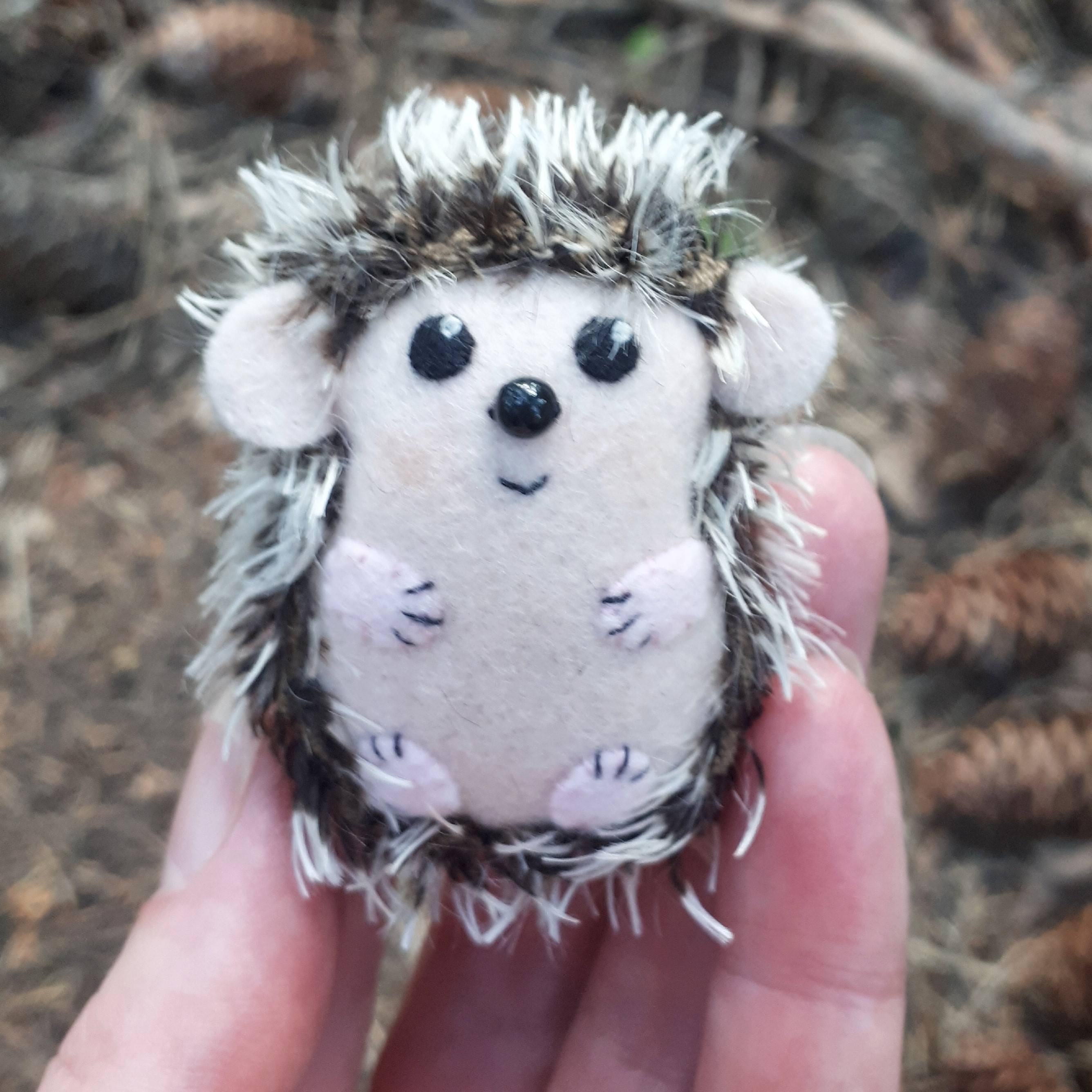 Hedgehog gifts, Kawaii plush, Teenage girl gifts, 21st birth | Inspire ...