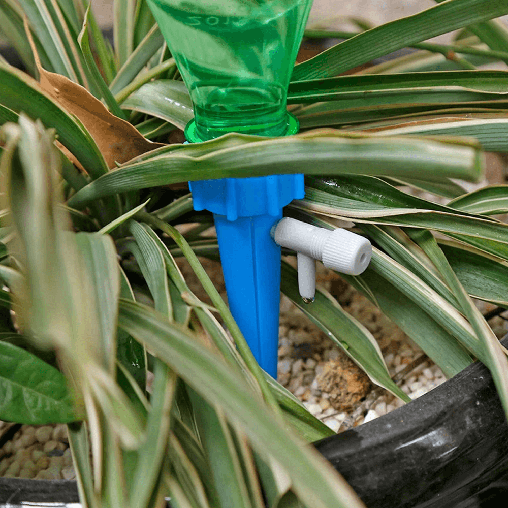 12 Pcs Automatic Self-Watering Funnel | Inspire Uplift