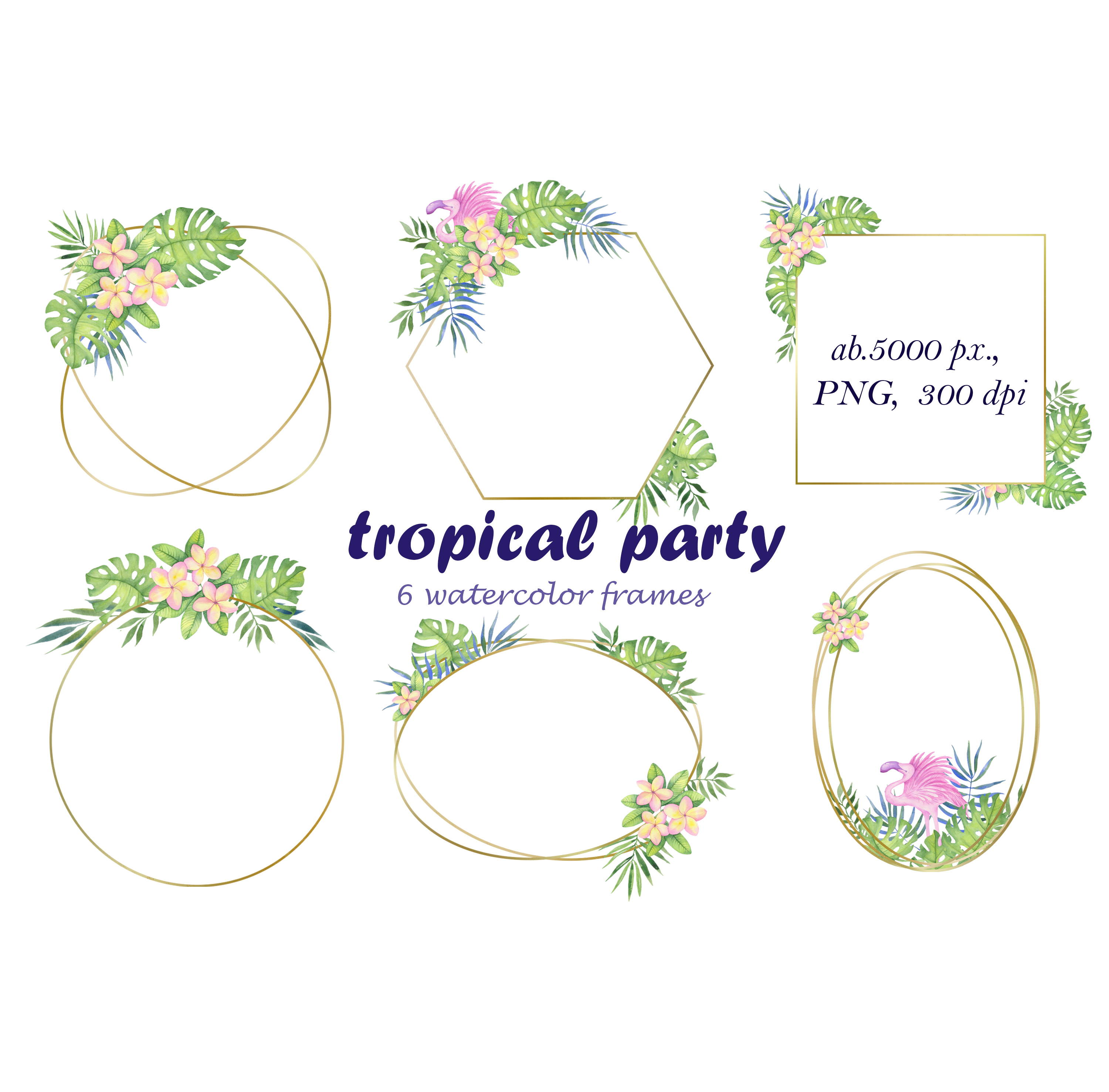 golden frames with tropical flowers Clipart PNG | Inspire Uplift