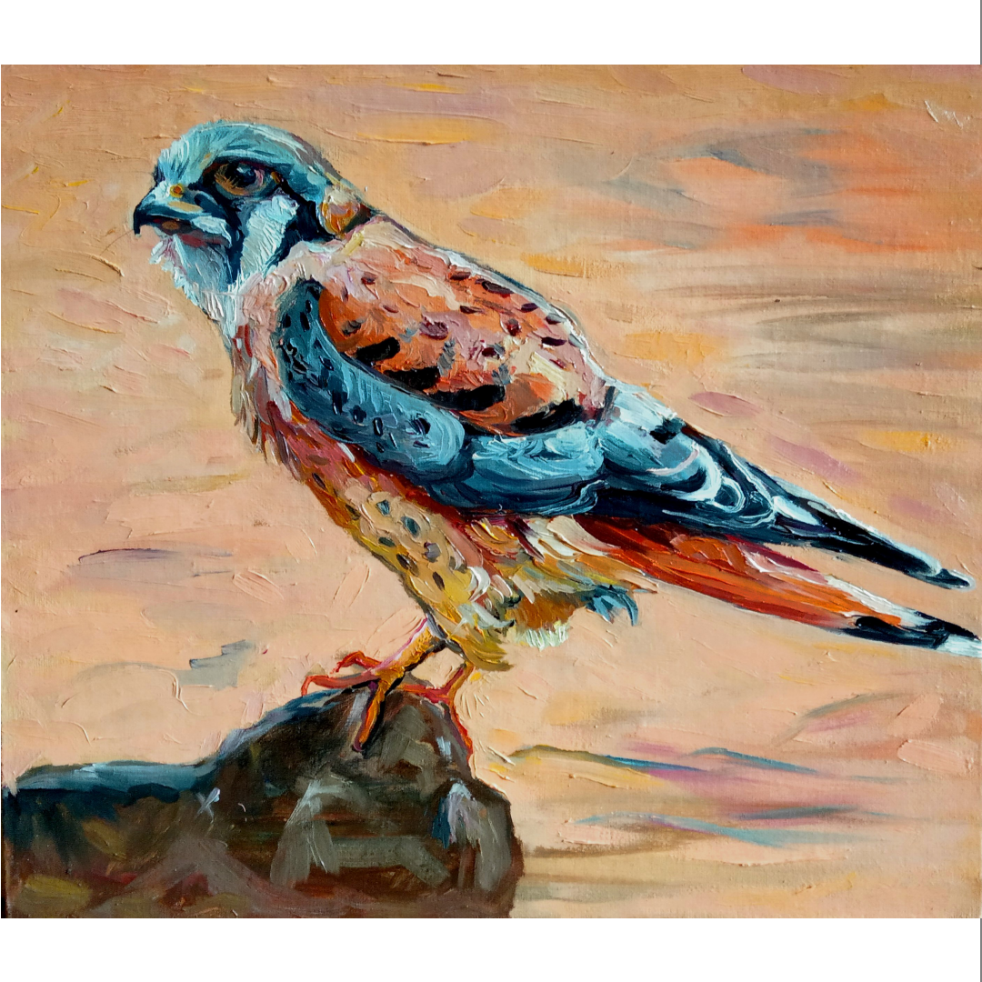 Oil painting "Falcon Falcon's keen eye" small oil painting | Inspire Uplift