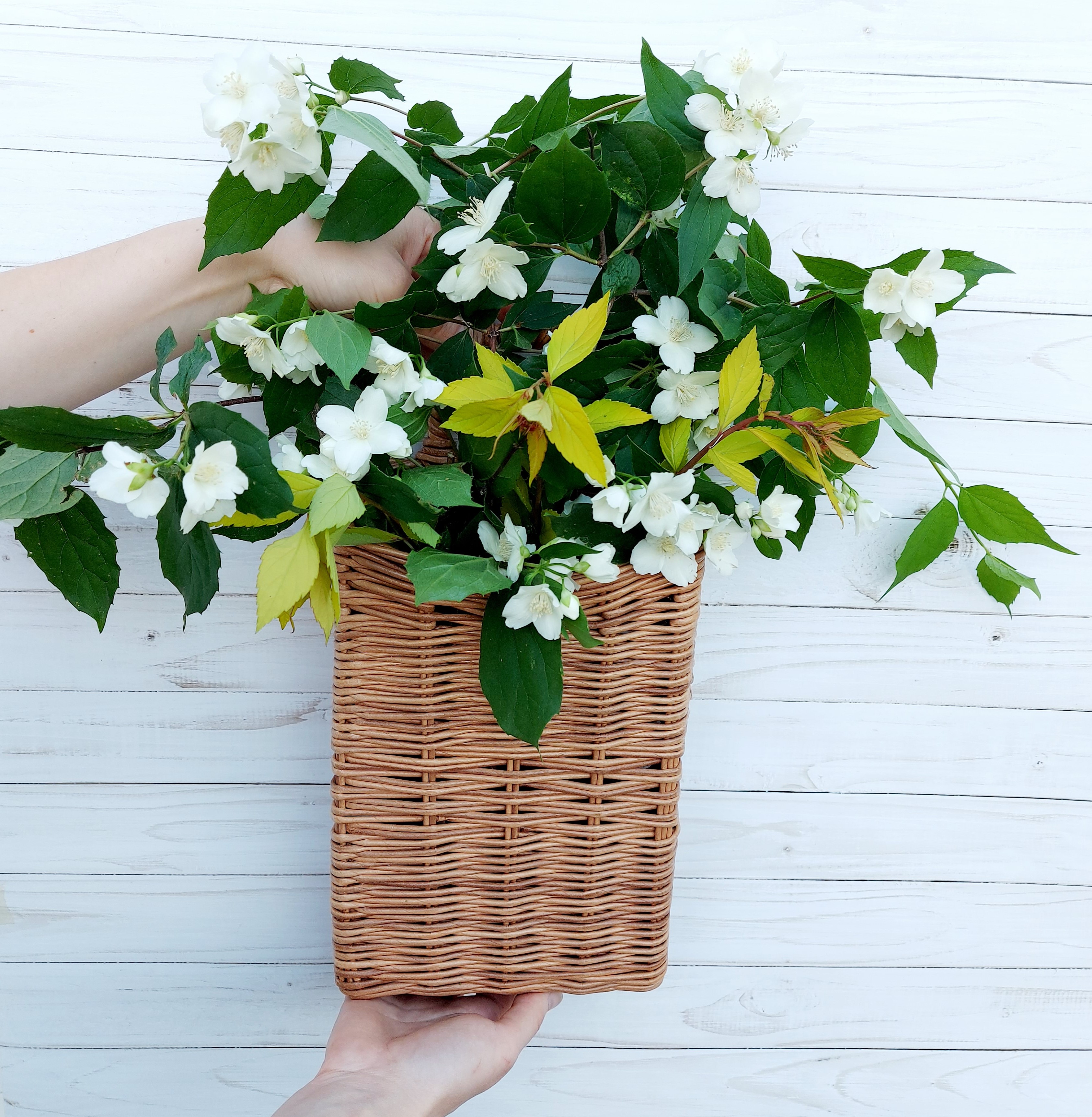 Wicker door basket. Hanging basket for flowers Entrance door | Inspire ...