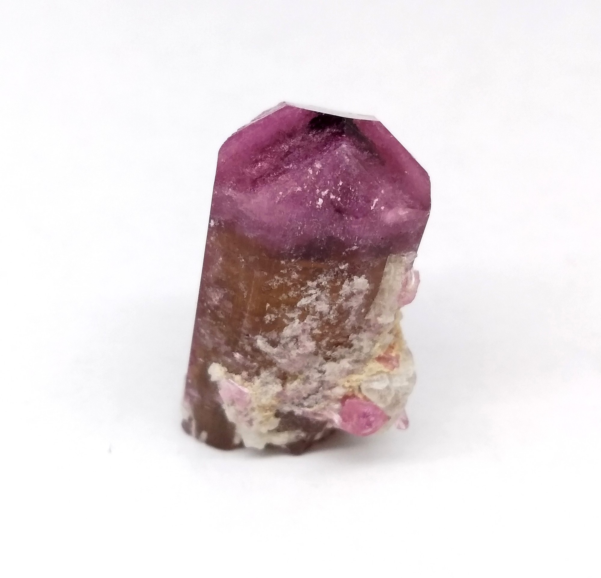 Crystal Elbait | Inspire Uplift