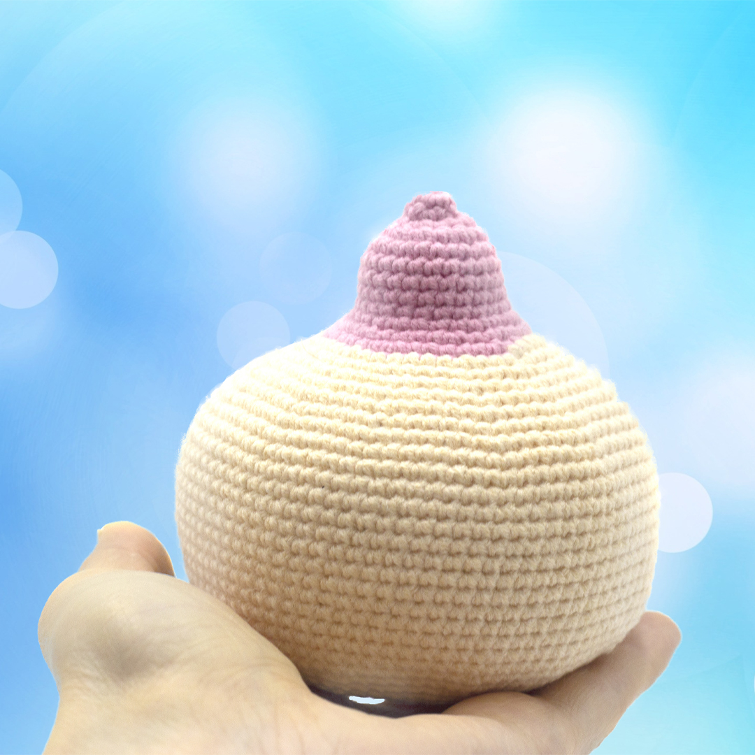 Breast feeding medical model, breastfeeding demonstration, l | Inspire ...