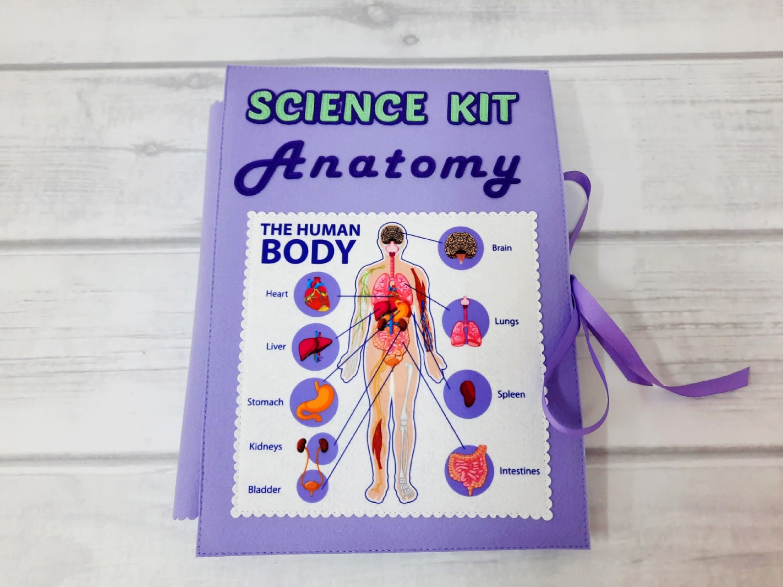 Full set of realistic (skeleton and organs) Human anatomy, M - Inspire ...