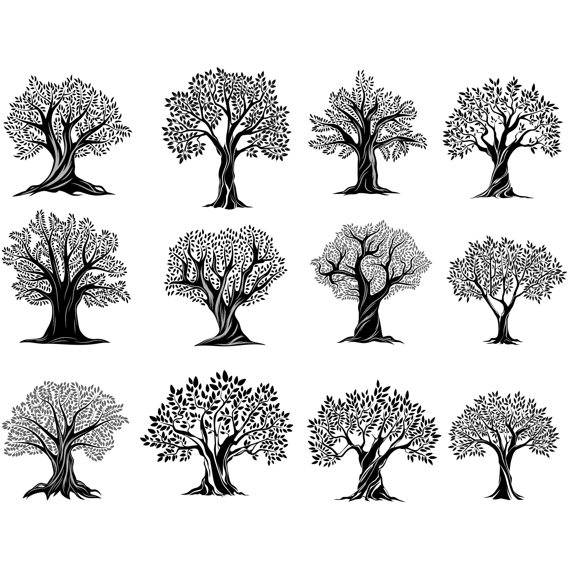 Big Tree Silhouette, Big Tree SVG, Big Tree PNG, tree svg, t | Inspire ...