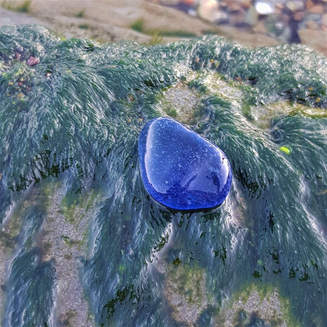 Cobalt blue sea glass. Large authentic sea glass. | Inspire Uplift