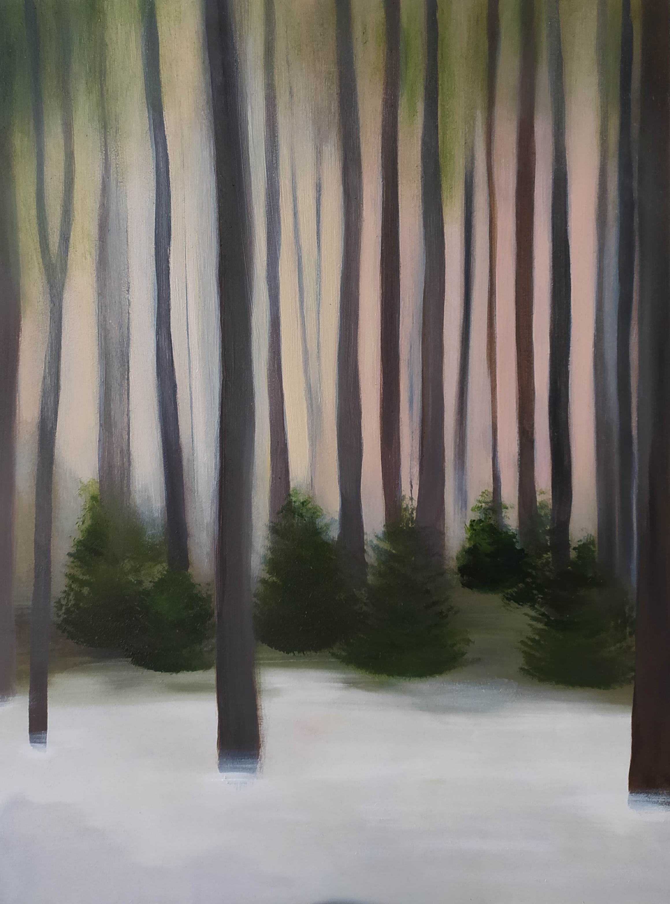 Evening Forest Painting Original Art Oil Painting Landscape | Inspire ...