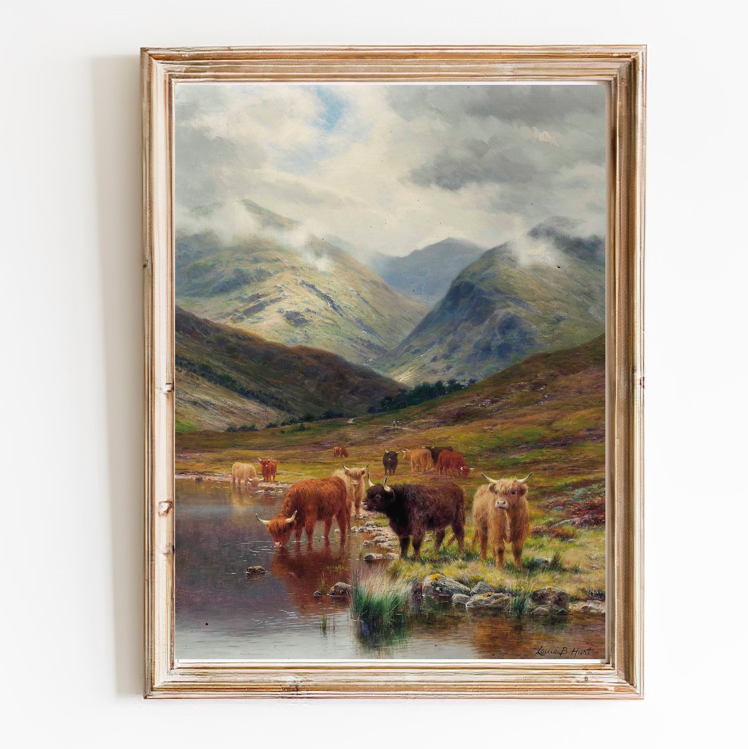 CANVAS ART PRINT | Highland Cattle Grazing on a Mist Covered - Inspire ...