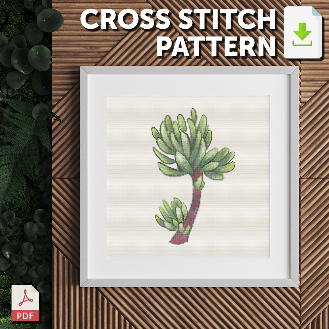 Cross Stitch Pattern Succulents Crassula Ovata | Inspire Uplift