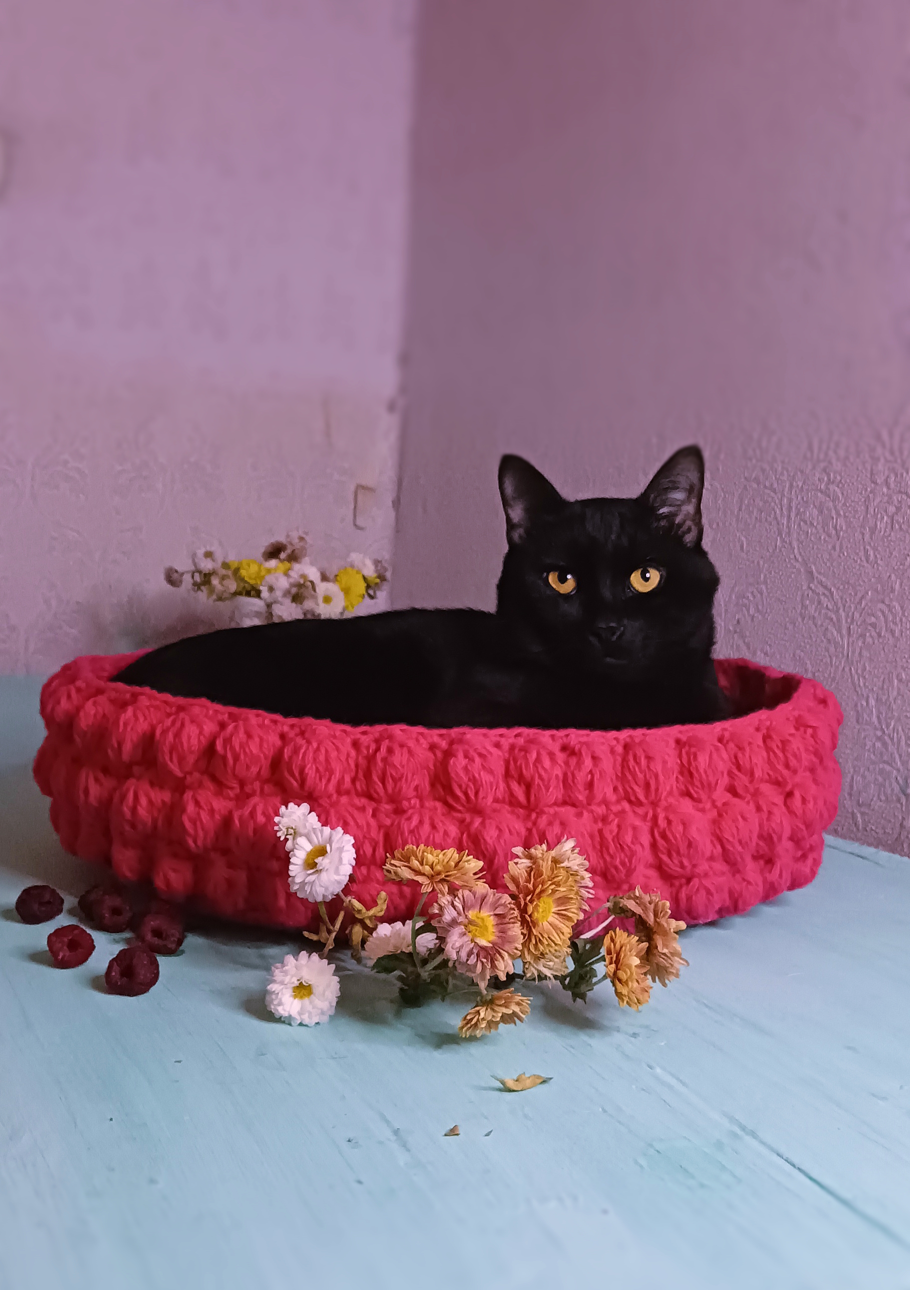 Cat bed crochet raspberry. | Inspire Uplift