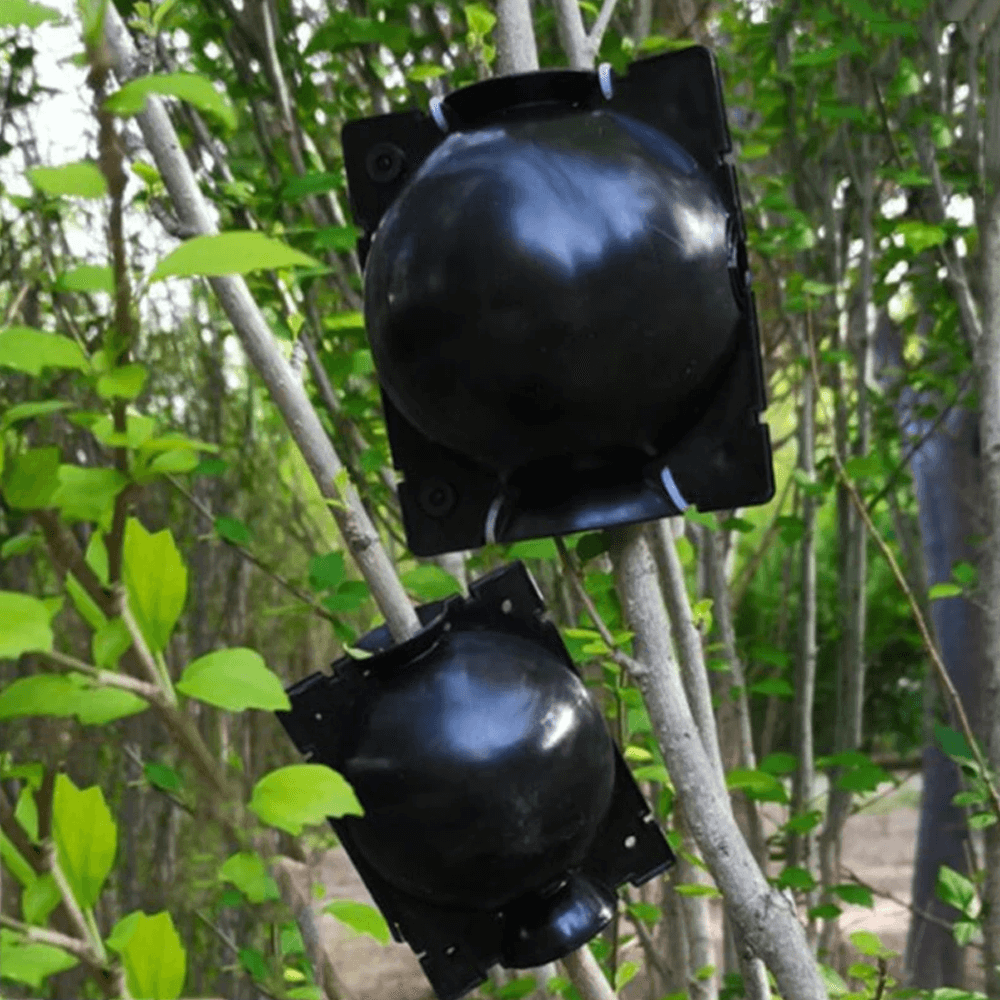 5Pcs Reusable Plant Root Growing Box - Inspire Uplift