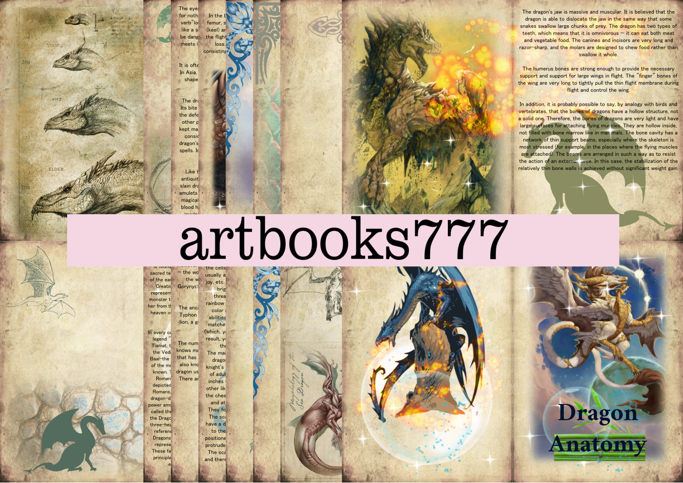 Dragon Anatomy - Book of Shadows, Wicca, Printed Pages, Witc | Inspire ...