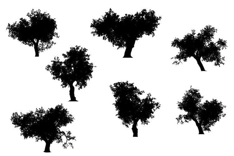 7 Silhouette of trees with leaves | Inspire Uplift
