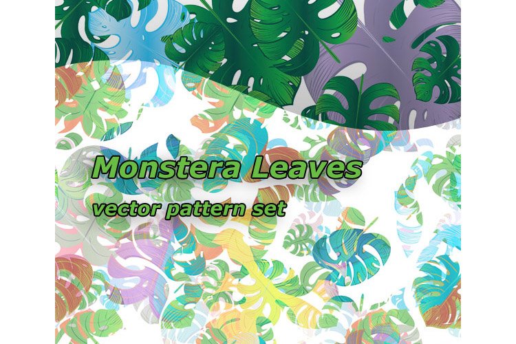 7 Monstera leaves vector patterns | Inspire Uplift