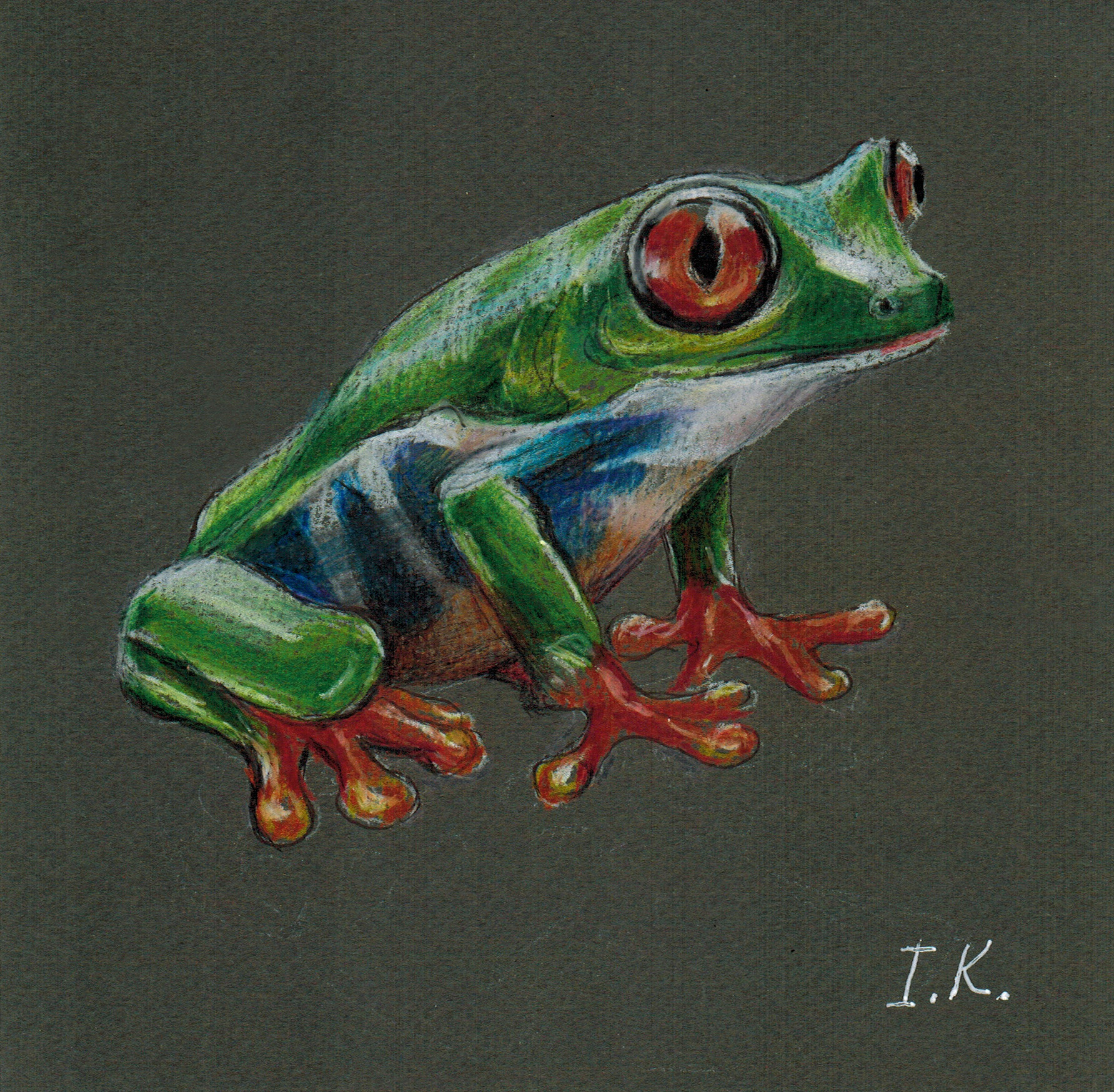 Tropical frog. Origianal Colored pencil drawing 6x6'' | Inspire Uplift