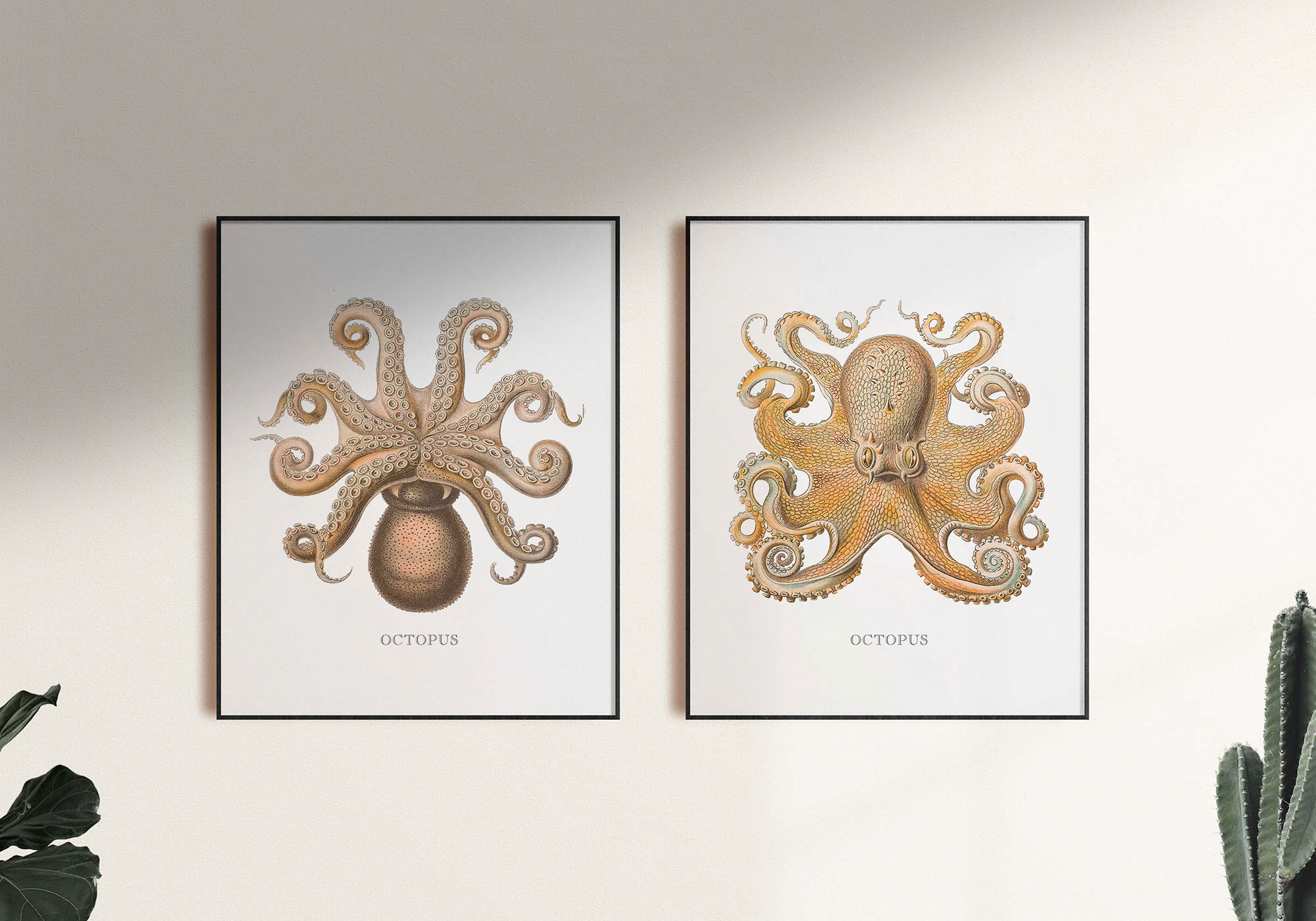 Octopus Art Poster. Octopus Vintage poster. Octopus print. P - Inspire ...