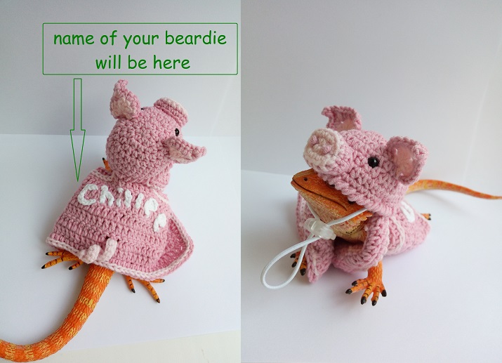 Pig costume for bearded dragon,pigor other small pet | Inspire Uplift