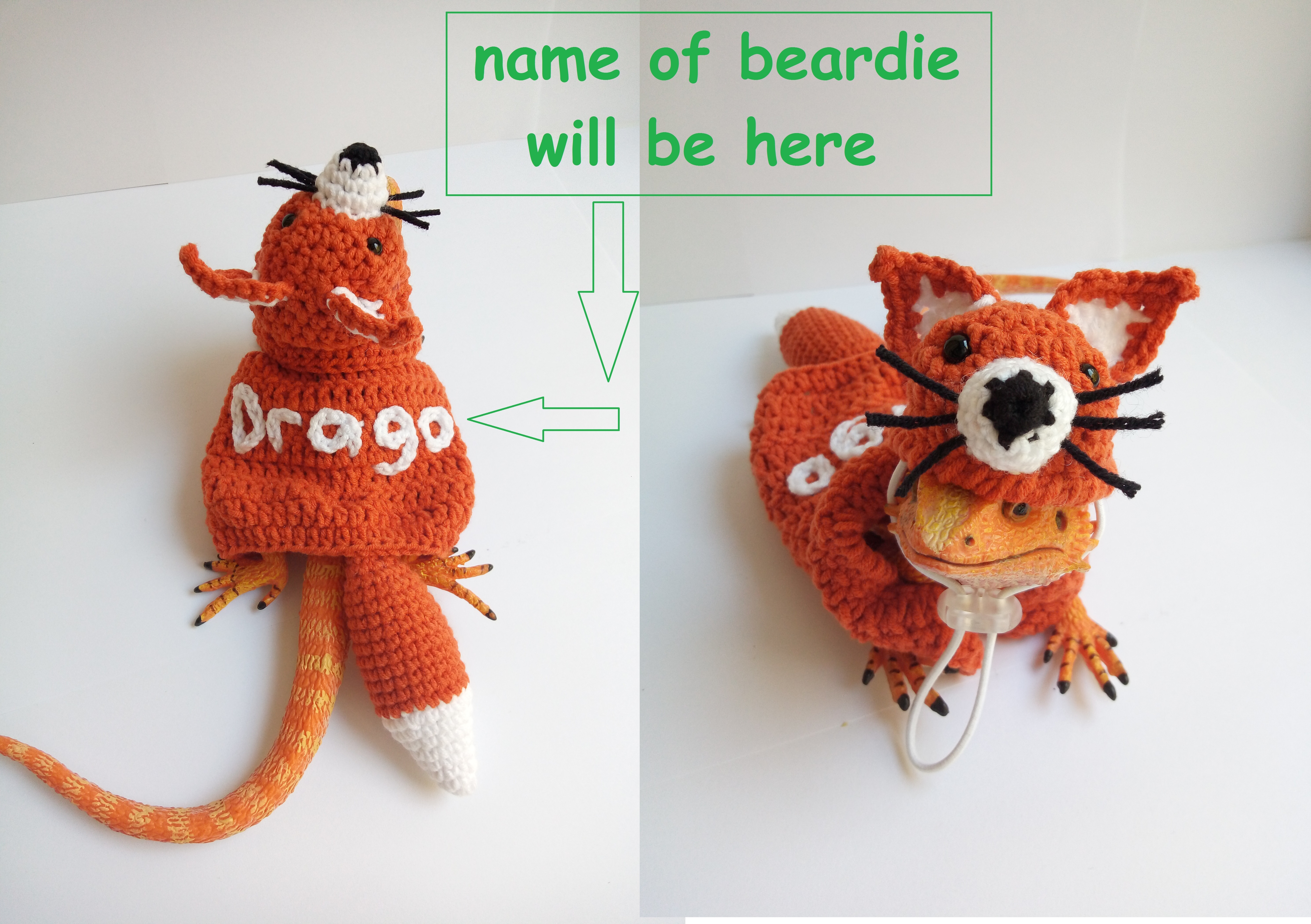 Fox bearded dragon costume, rat, hedgehog, ferret cosplay co | Inspire ...