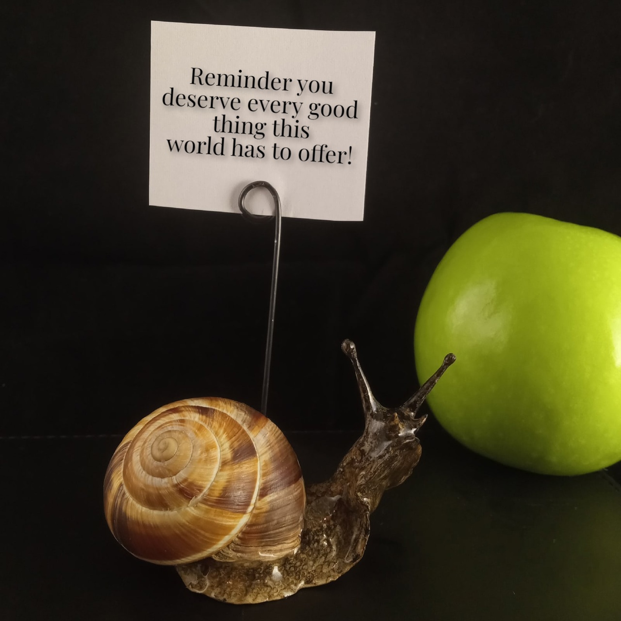 Snail. Card Holder. Reminder Holder. For a flower pot. Gift | Inspire ...
