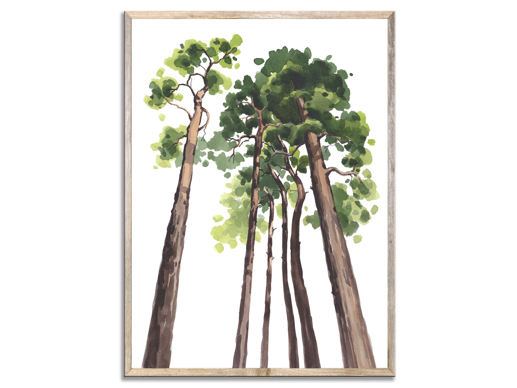 Pine Tree Art Print Evergreen Tree Watercolor Painting Big T | Inspire ...