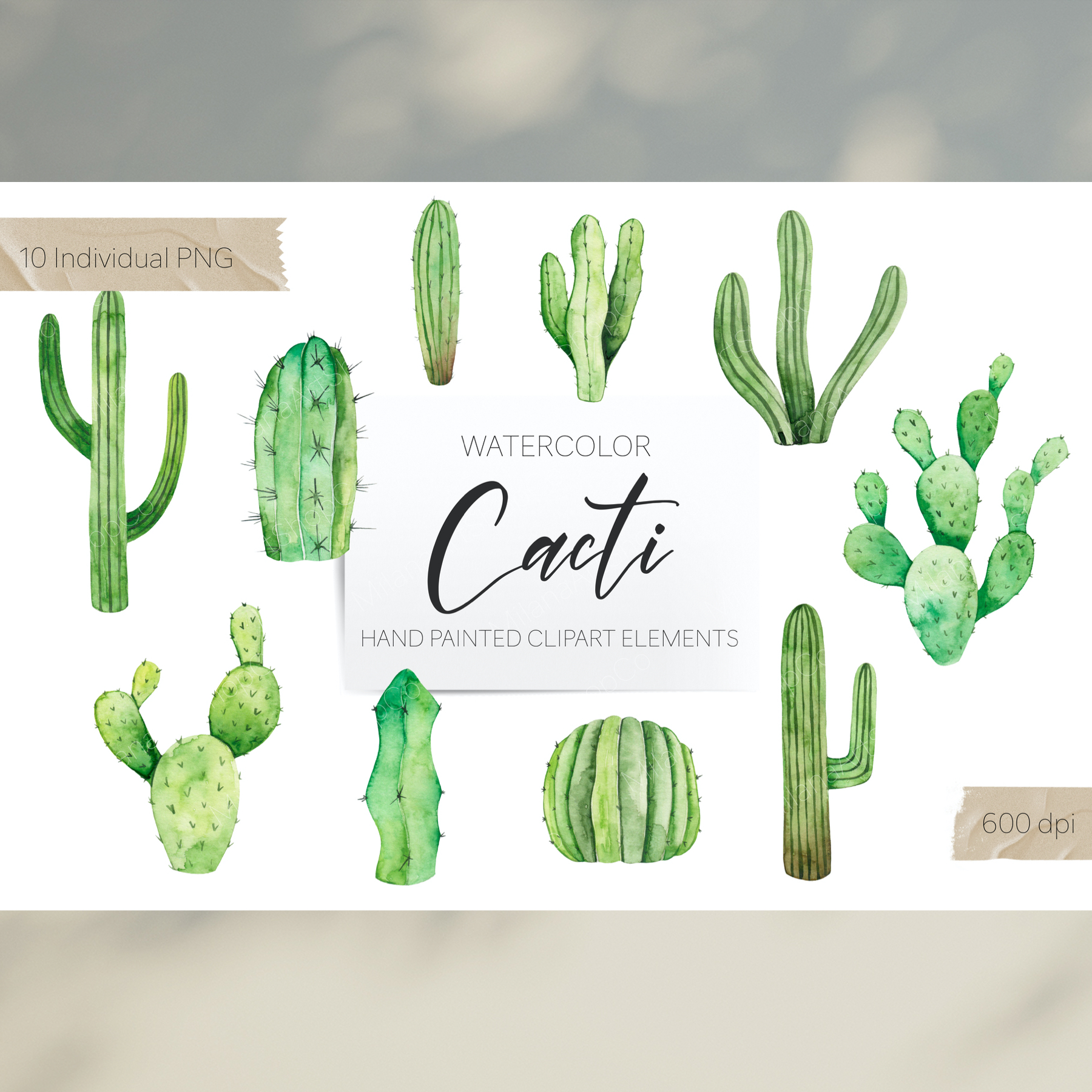Watercolor Cacti Clipart / Watercolor Cactus Clipart / Botan - Inspire ...