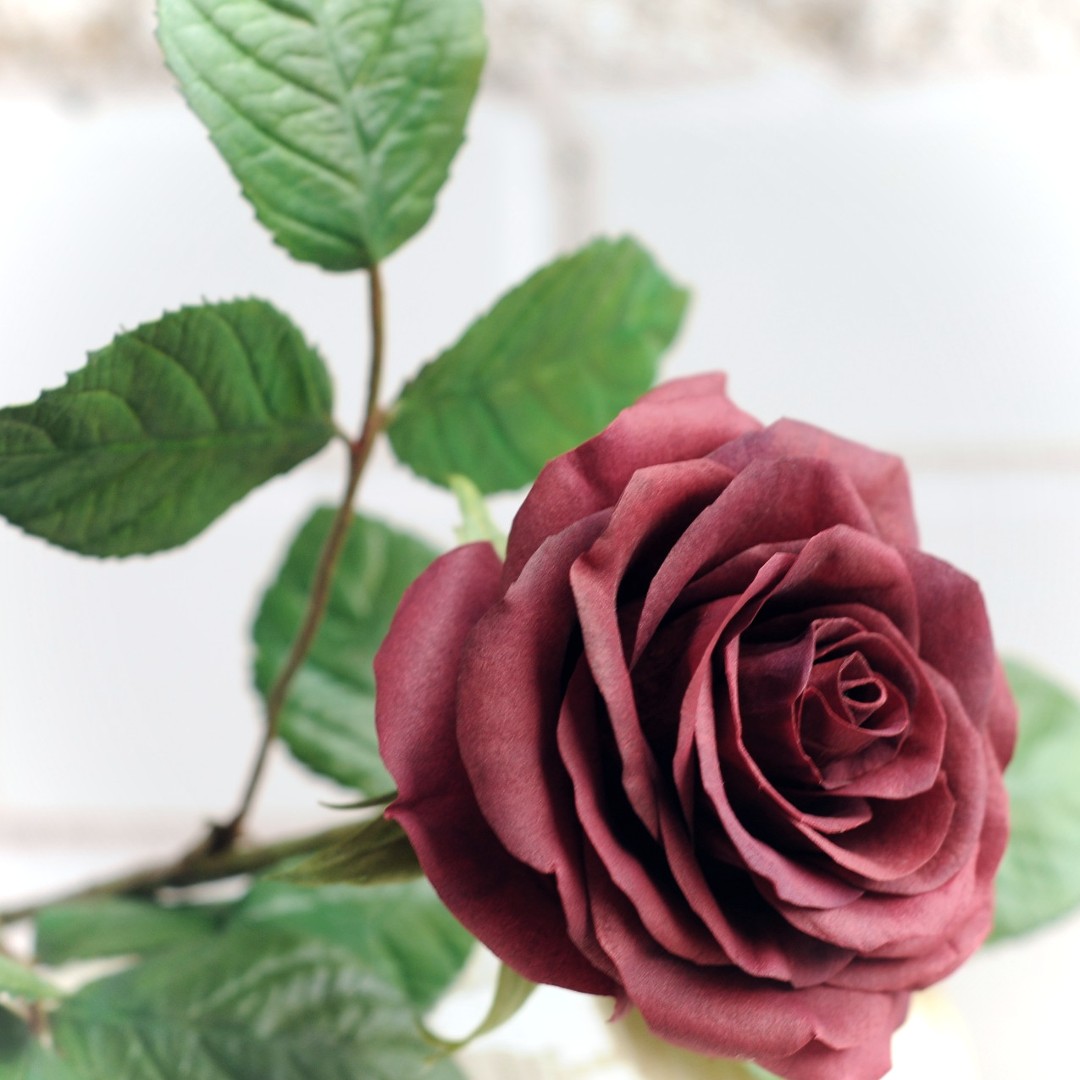 Dark Red Rose With Stem