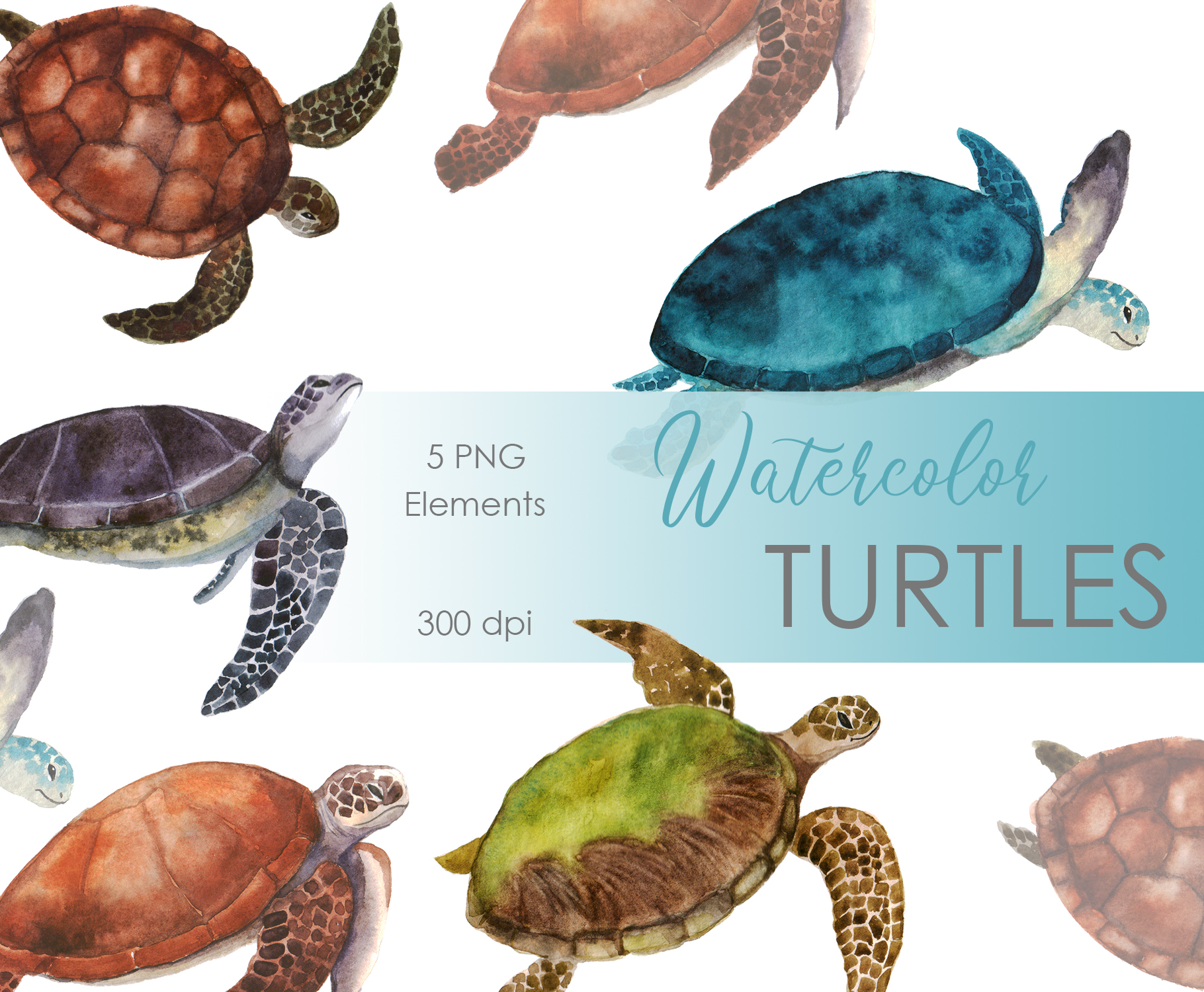 Watercolor Sea Turtles postcard. Watercolor ocean animals. W | Inspire ...