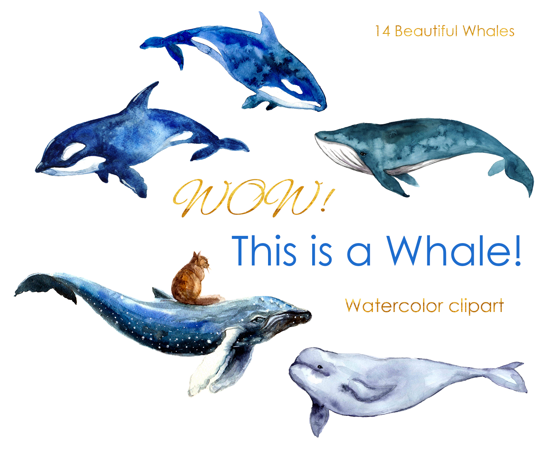 Watercolor Ocean illustartion. Watercolor Clipart. Cute whal - Inspire ...