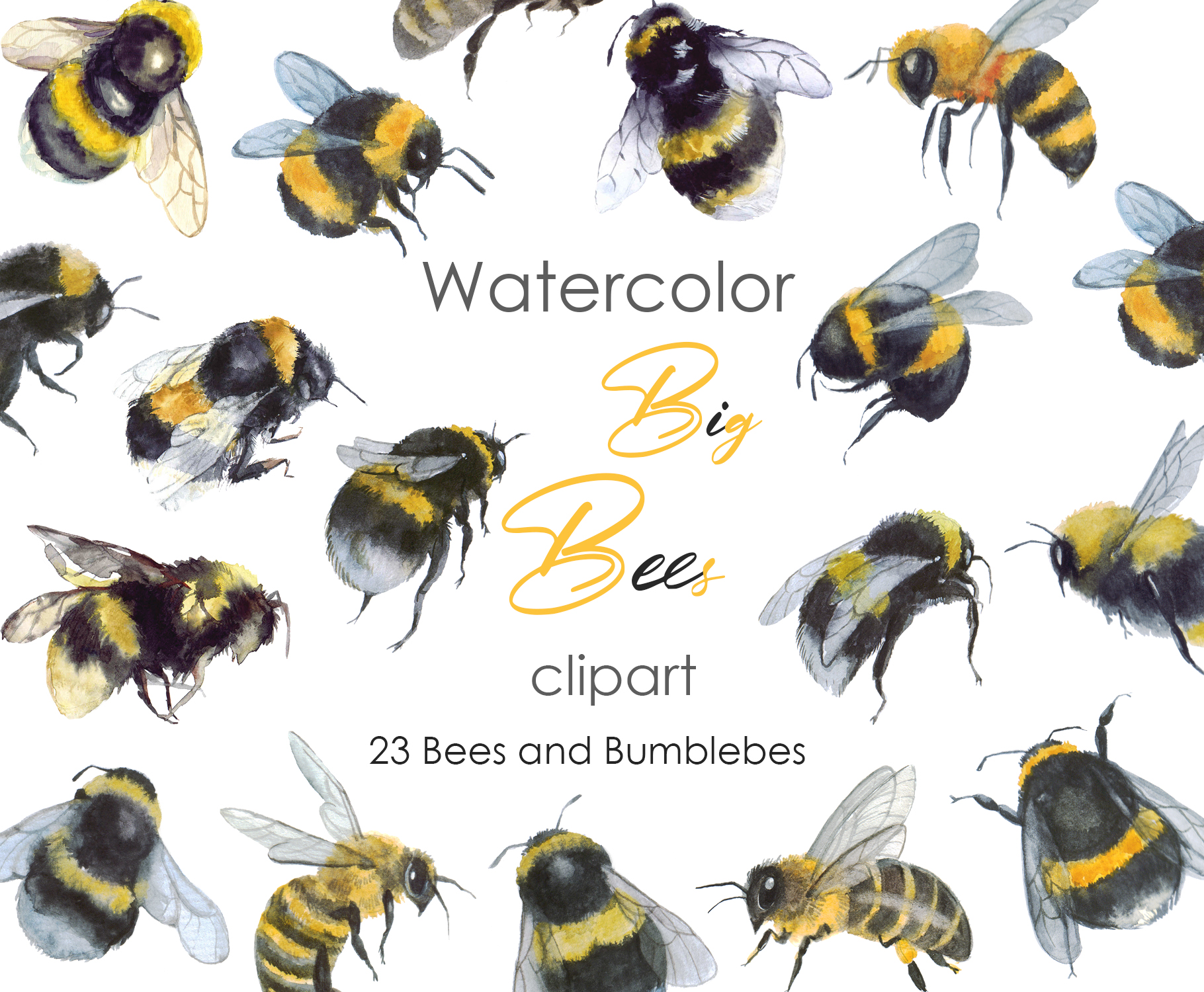 Bee clipart Watercolor insect art. Queen bee clipart Bumble | Inspire ...