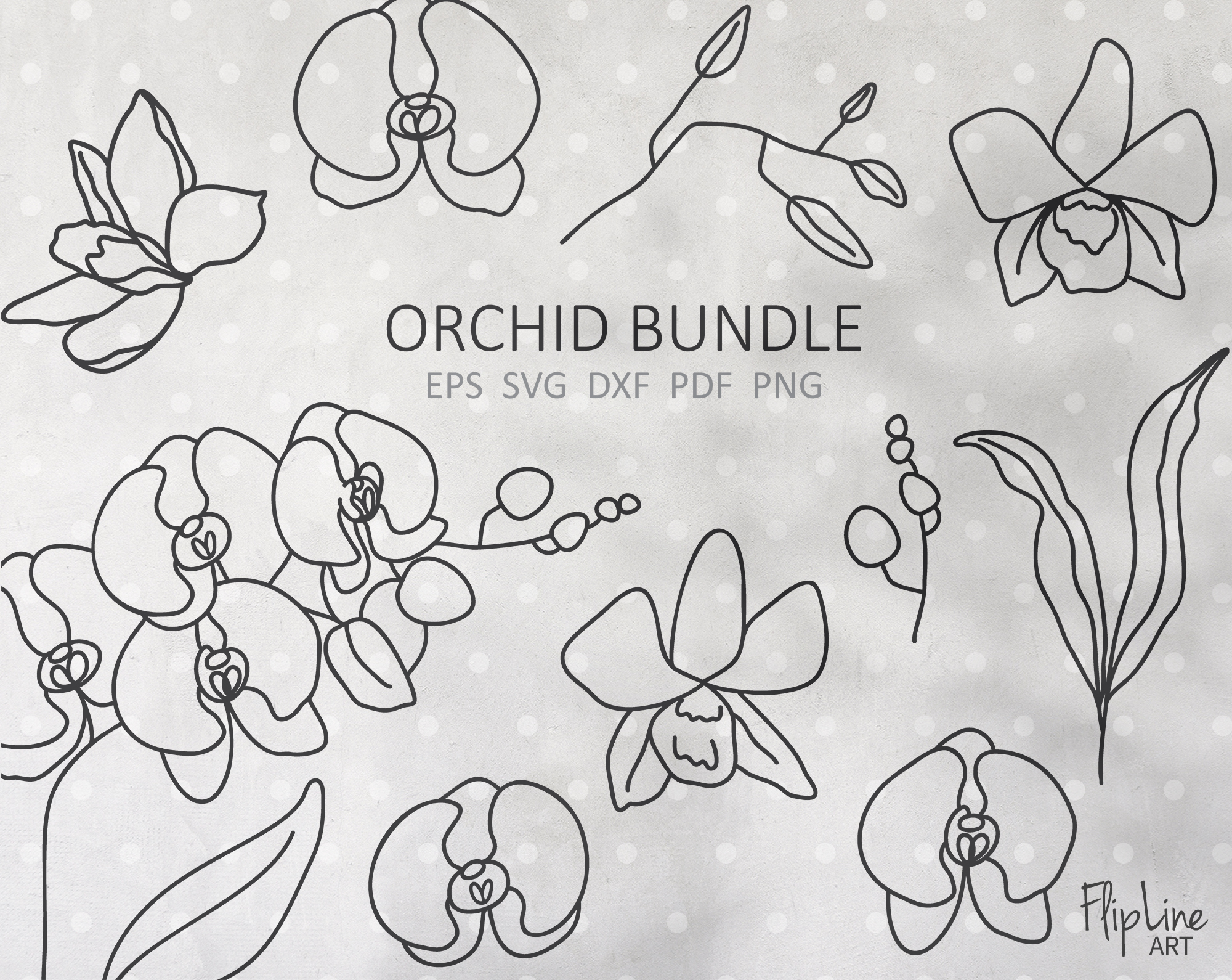 Orchid svg tropical flower Orchid branch Orchid bundle svg w | Inspire ...