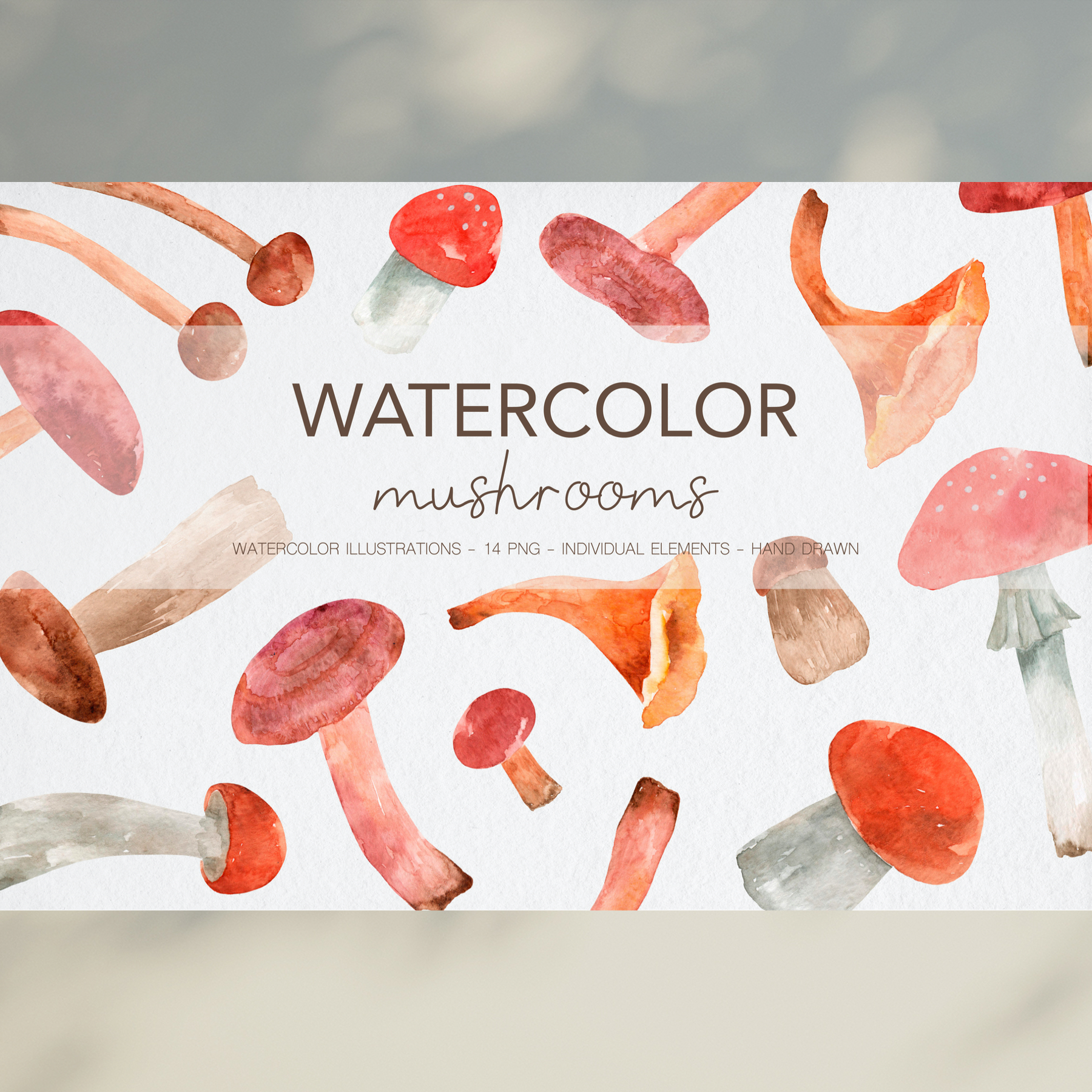 Watercolor Fall Mushrooms Clipart / Autumn Clipart / Woodlan | Inspire ...