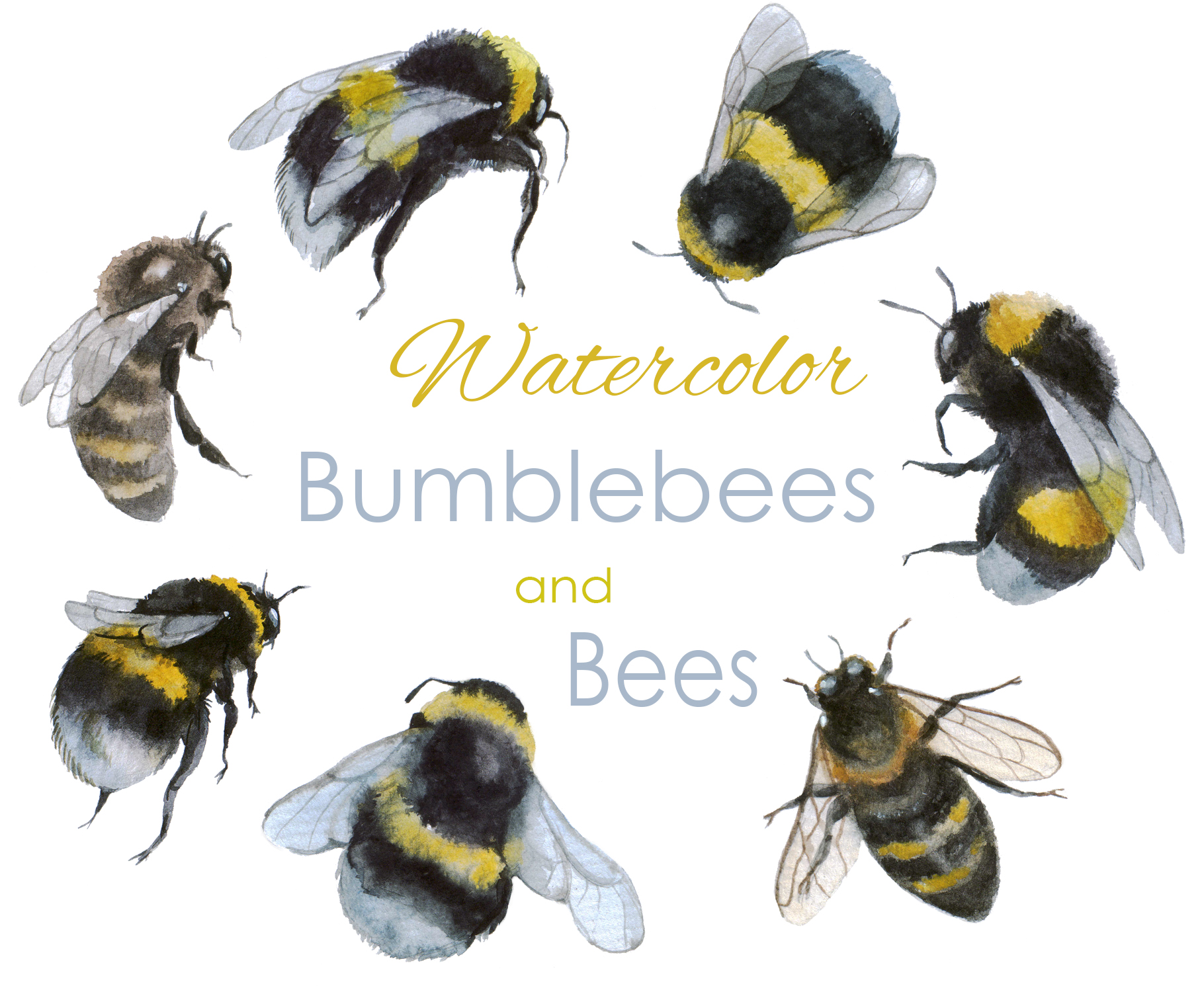 Bee postcard clipart. Bumble bee art. Watercolor Bumblebee | Inspire Uplift