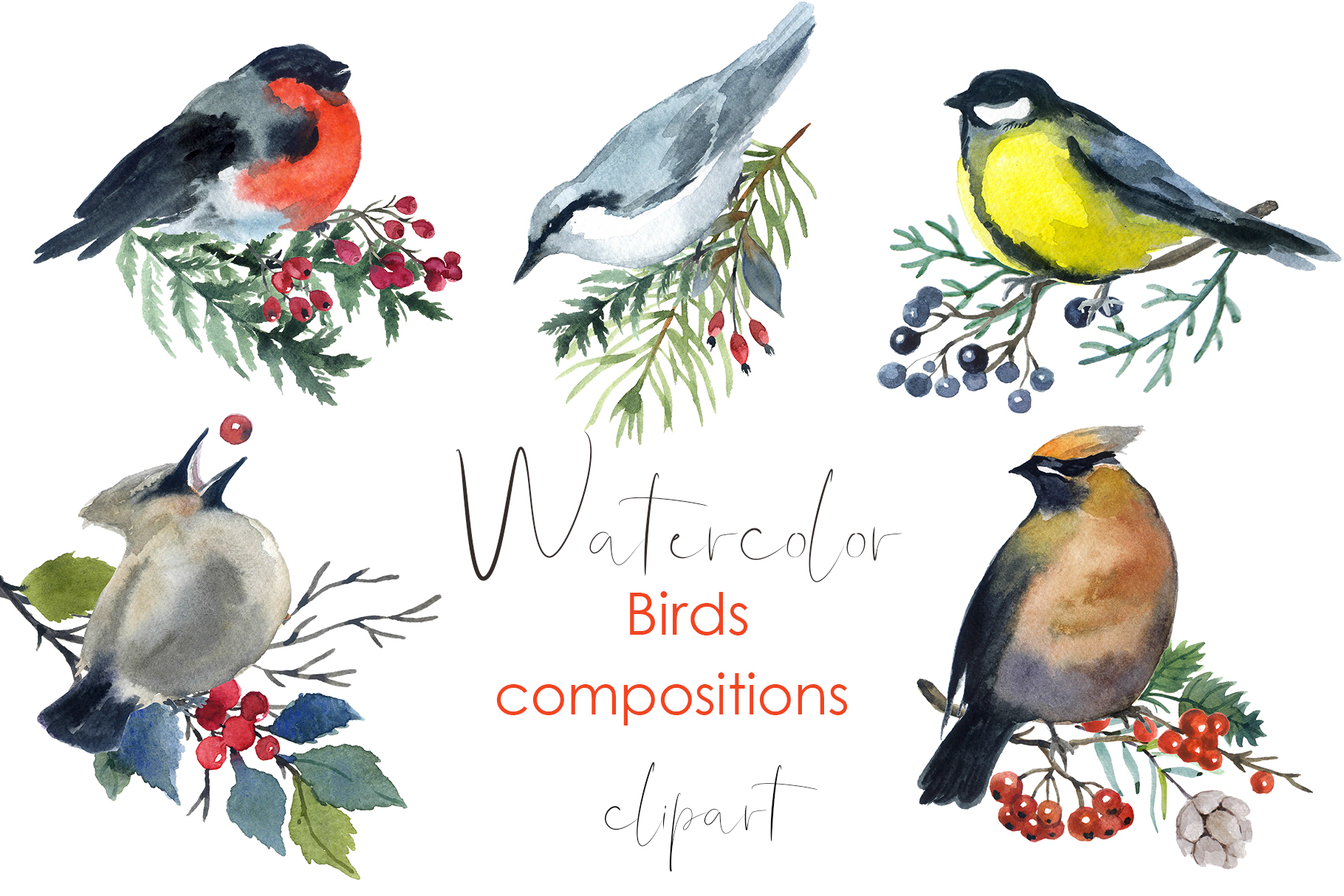 Watercolor christmas Clipart Winter Birds clipart collection - Inspire ...
