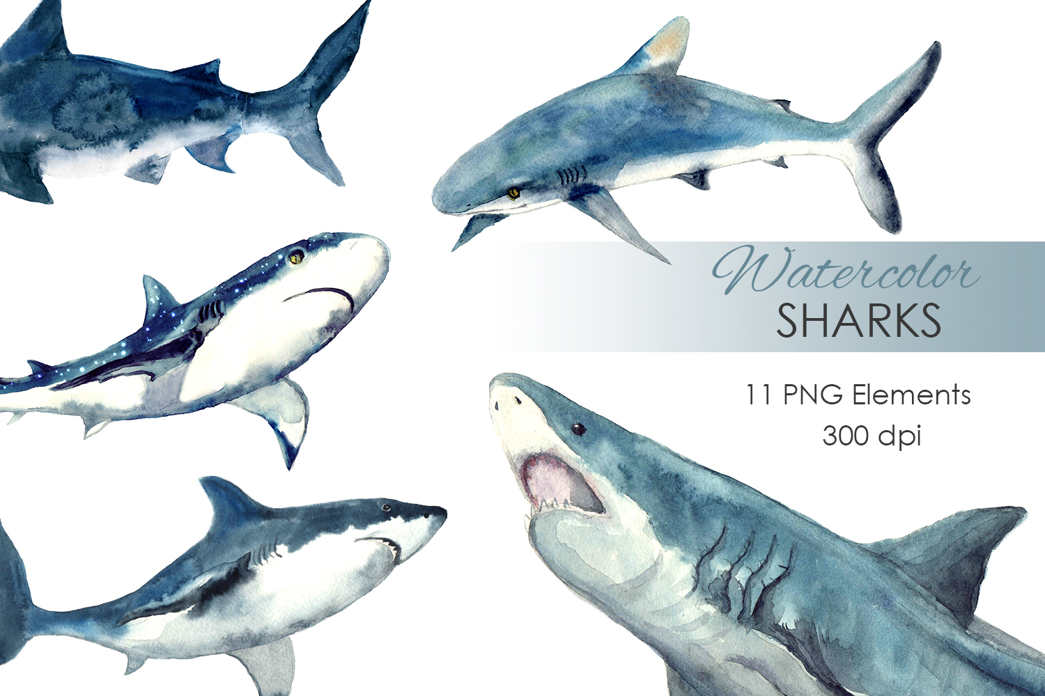Watercolor Clipart. Watercolor Shark Clipart. Baby shark. Fi | Inspire ...