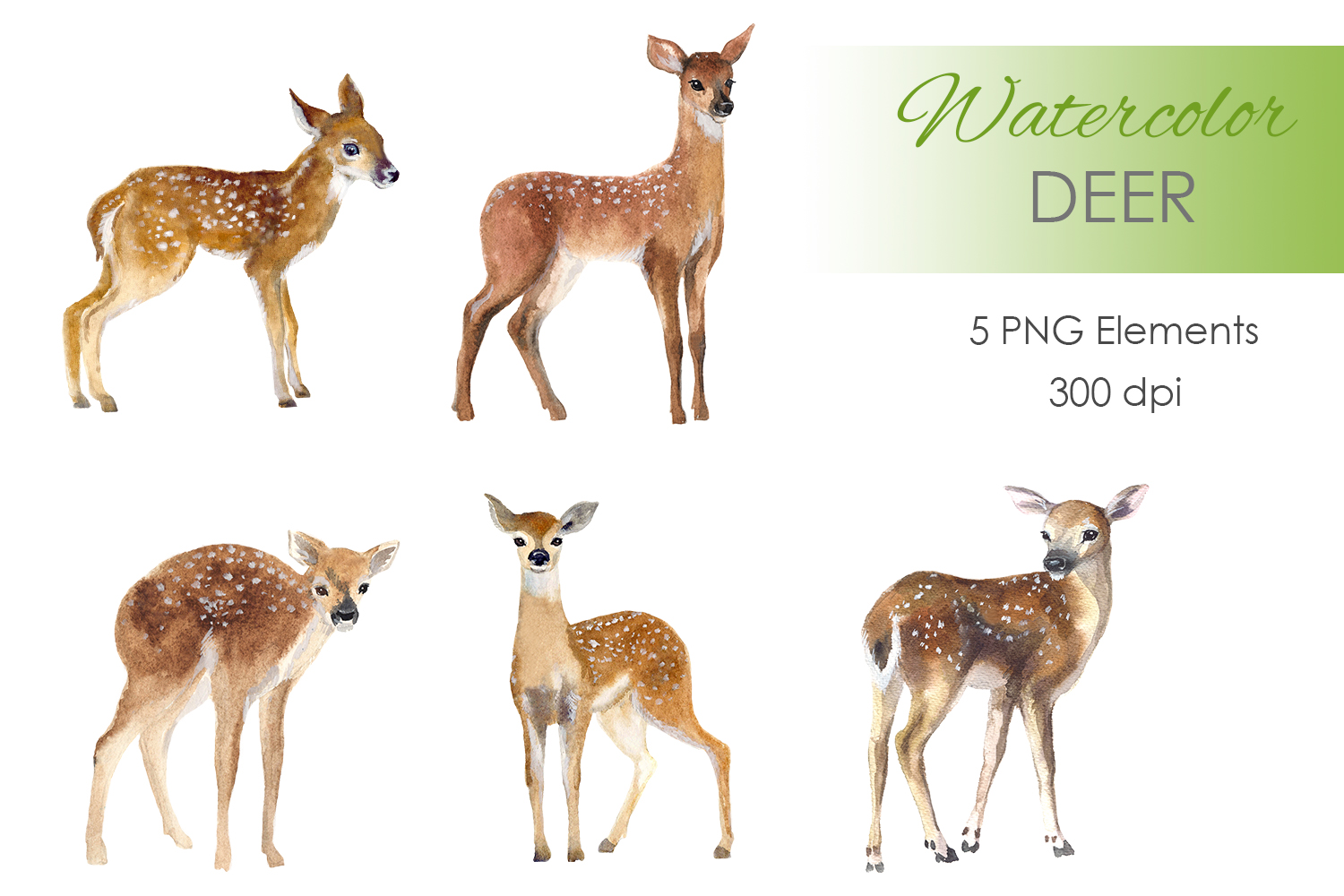 Watercolor deer Clipart. Woodland animal clipart. Watercolor | Inspire ...