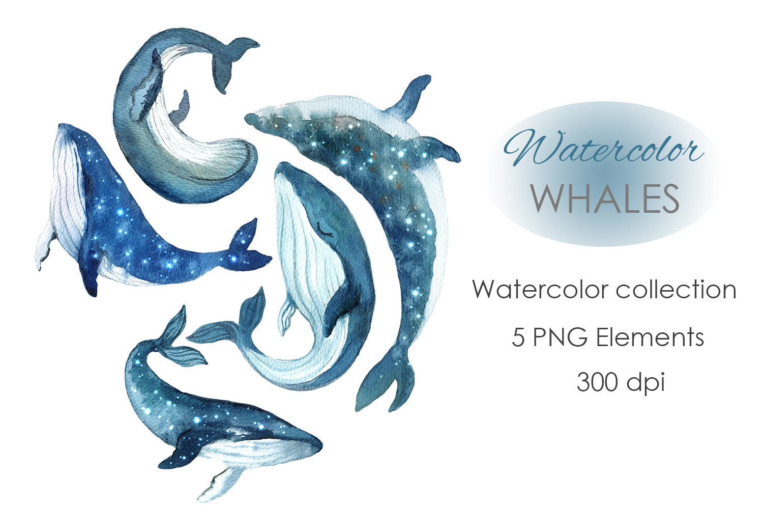 Watercolor Clipart. Whale Clipart. Ocean Clipart. Hand drawn | Inspire ...